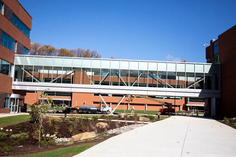 Vanguard offers ‘work from home’ option for employees