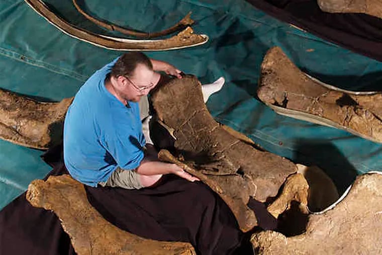 The 1,100-lb. Australovenator