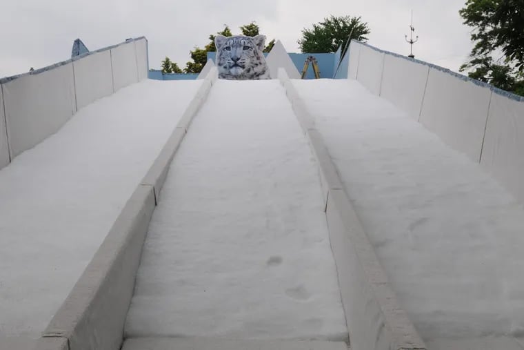 New exhibit brings snow to the zoo starting Saturday