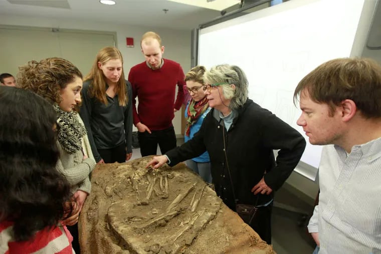 Making the most of a skeleton in Penn's basement