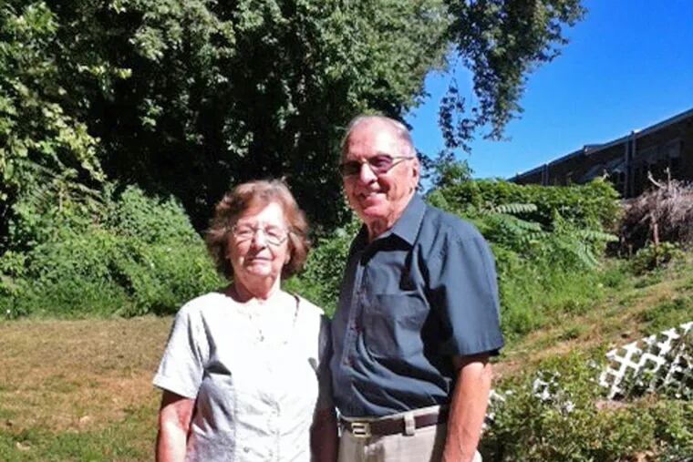 If a tree falls in Pennypack Park...