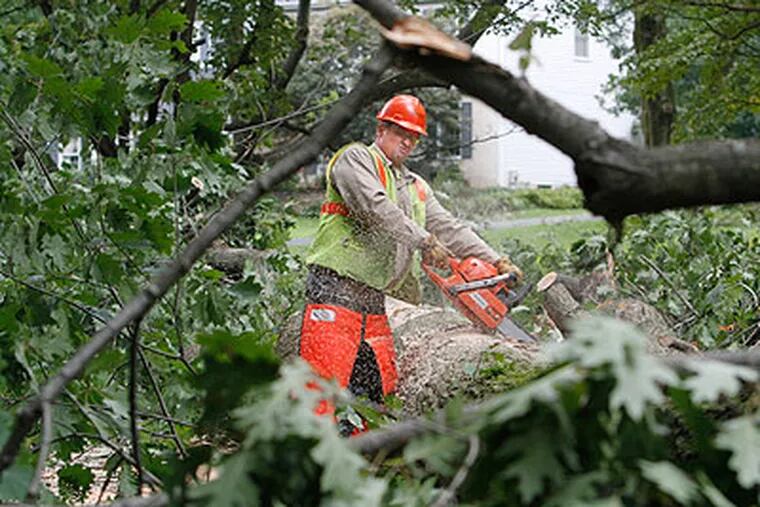Irene is costliest storm in Peco's recent history