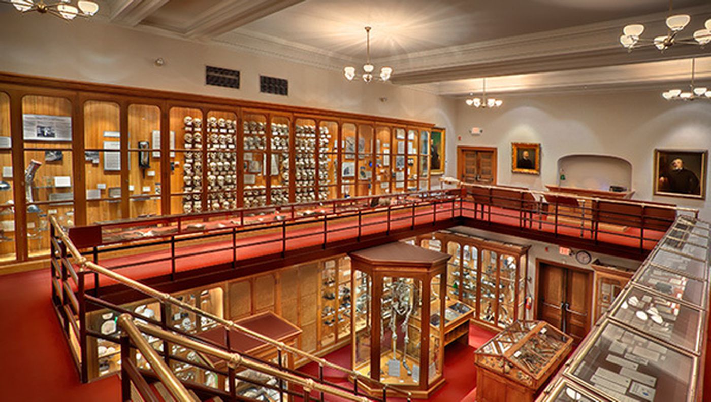 Mutter Museum launching $25 million expansion drive