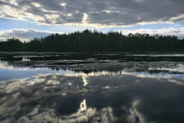 Coronavirus: N.J. state parks grapple with crowds after reopening