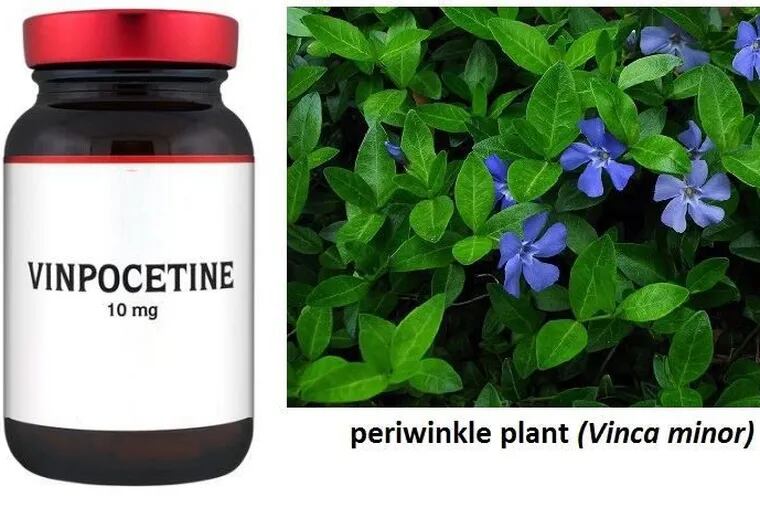 FDA warns about a dietary supplement that can be dangerous for pregnant ...