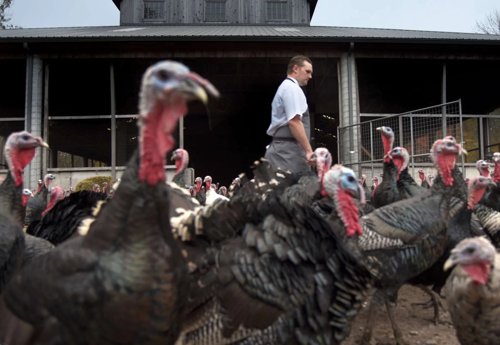 Brick Farm Tavern: A culinary adventure in Hopewell