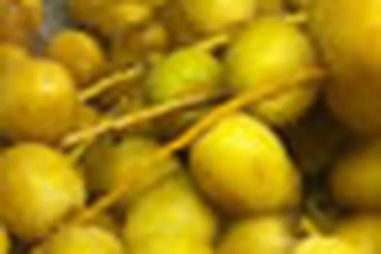 LaBan chat: Syrian flavors and fresh dates; Italian BYOs