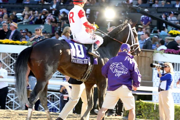 Stars shine again at Breeders' Cup