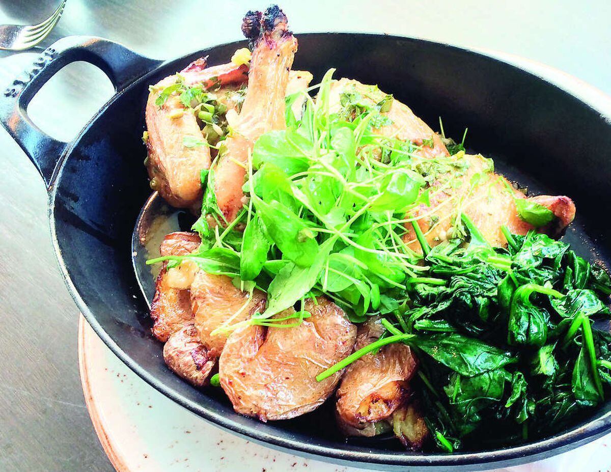 CRUMB TRACKER CRAIG LABAN +claban@phillynews.com