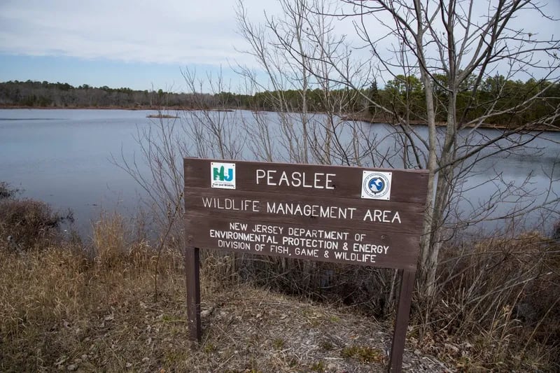 N.J. now has 264,748 football fields' worth of wildlife management areas
