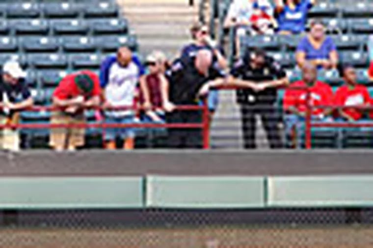 Baseball Fans In Stands