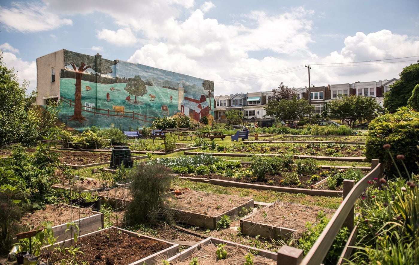 A community gardens guide to Philly, from getting wait-listed to ...