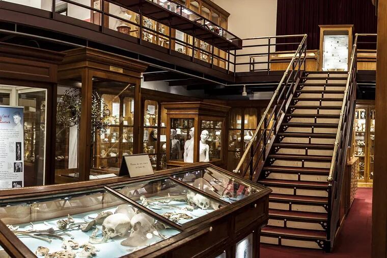 Australian soldier’s skull, formerly displayed in Mutter Museum, buried ...