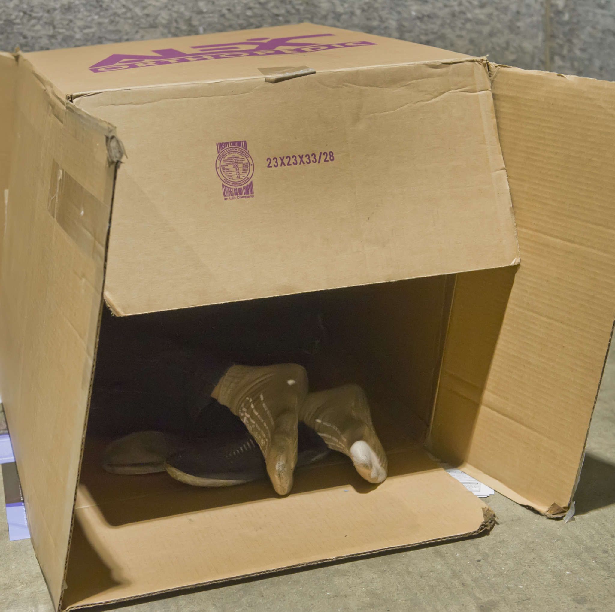 Cardboard Box Homeless