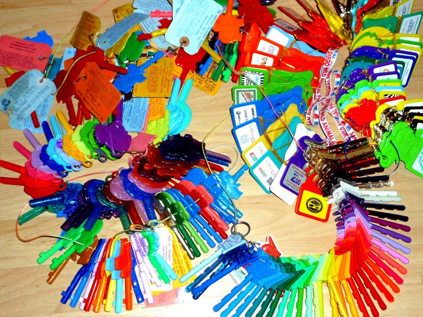 ‘It just brings me back’: Zoo Keys have returned to Philadelphia, and ...