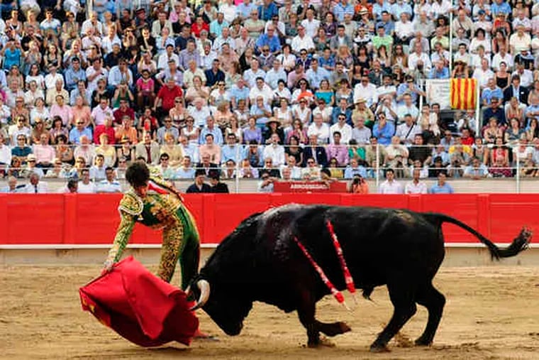 Bullfighting banned in a region of Spain