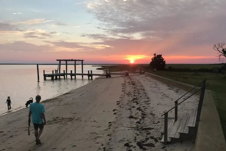 Reasons to fall in love with the Shore in autumn