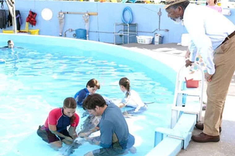 Truly touching story of a disabled dolphin