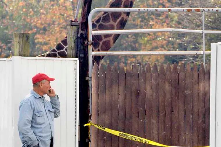 More trouble for a Burlco zoo