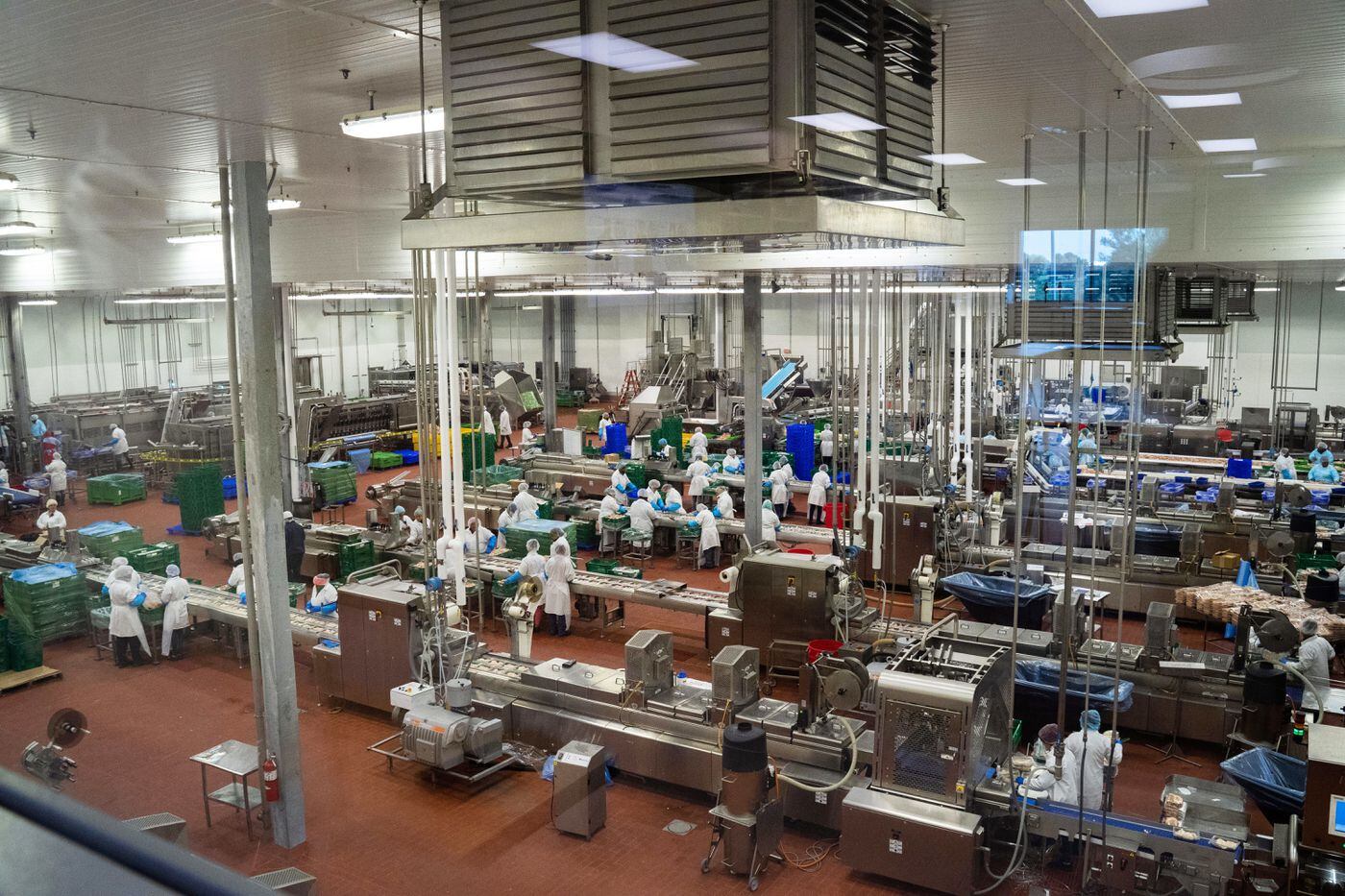 Coronavirus struck down Bells & Evans poultry workers going to work in ...