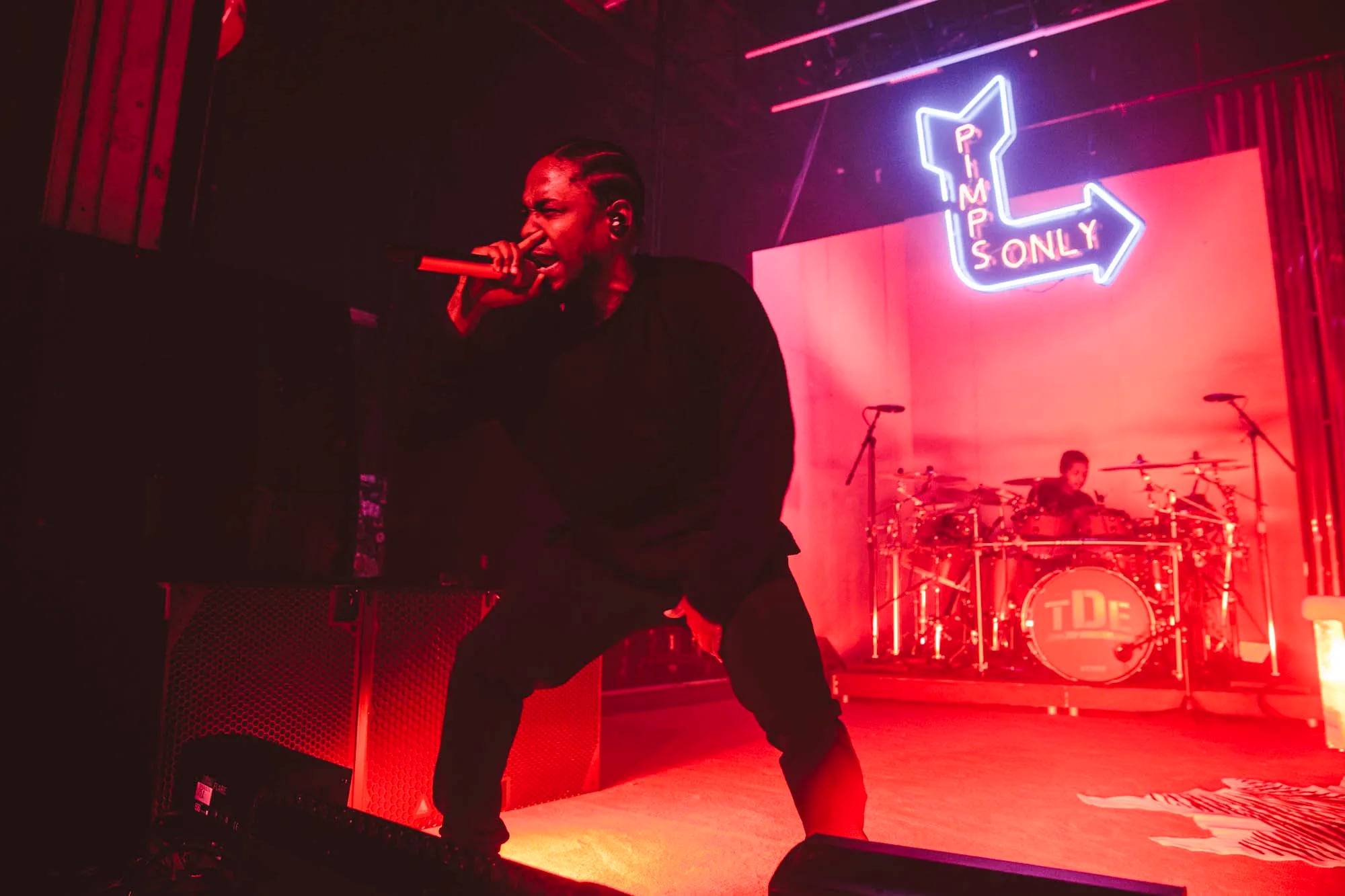 Kendrick Lamar Concert Crowd