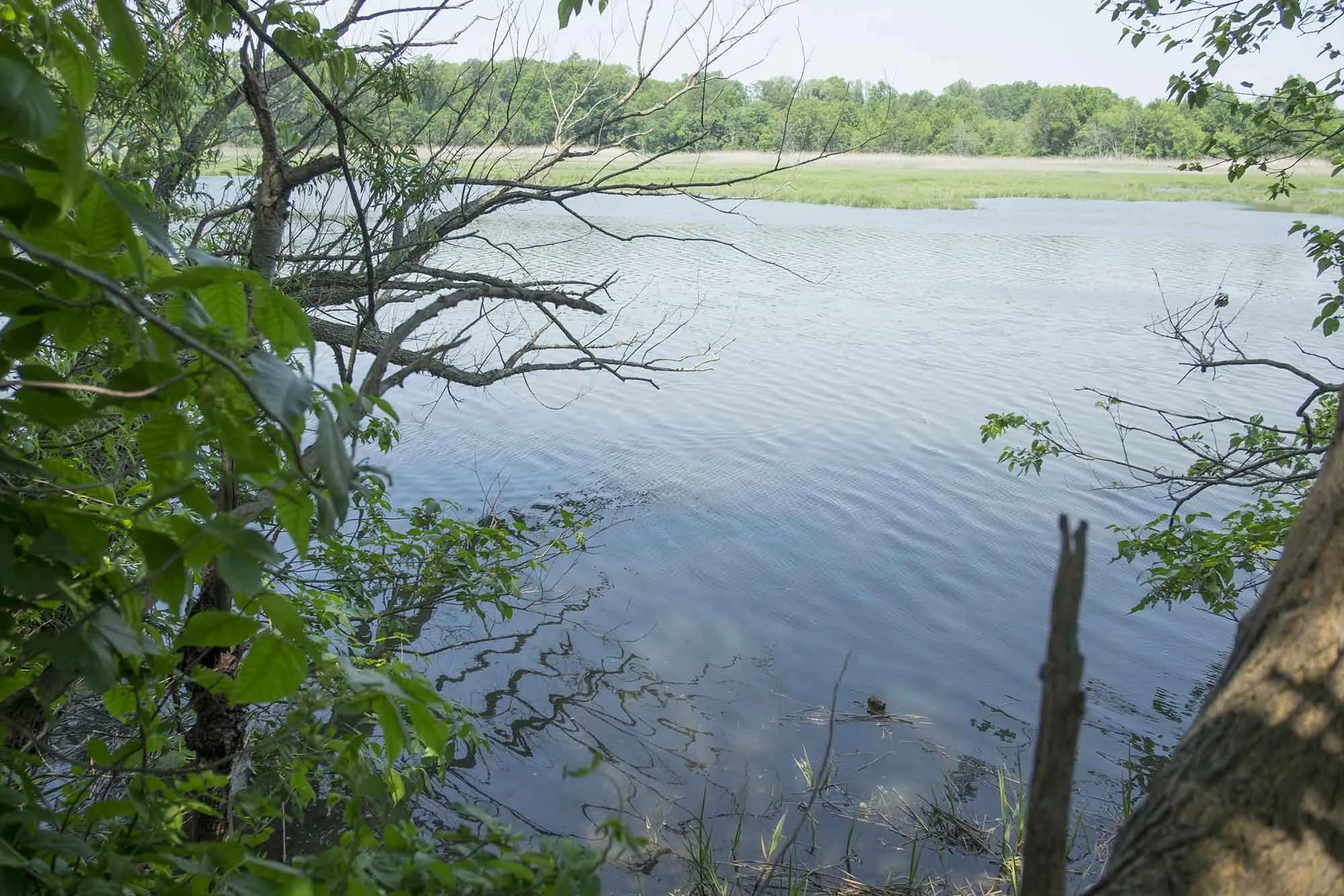 Matawan Creek In New Jersey