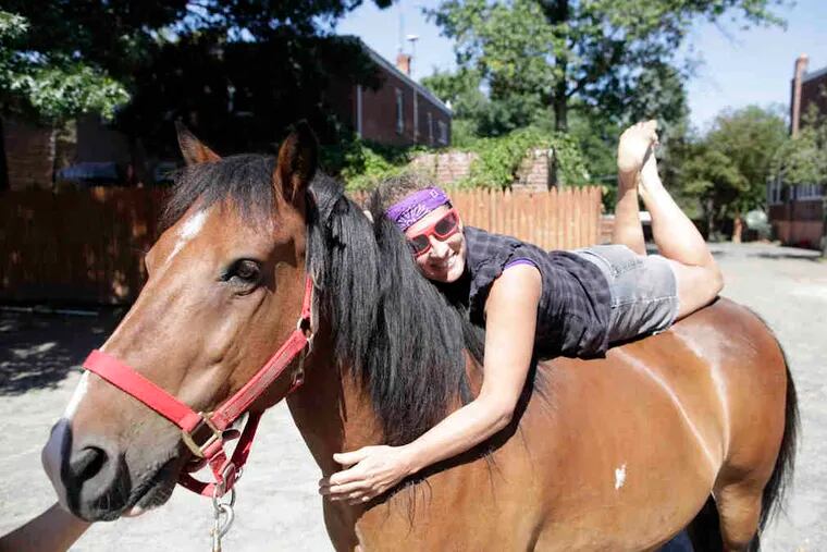 Backyard horses raise a stink with neighbors in Southwest Philadelphia