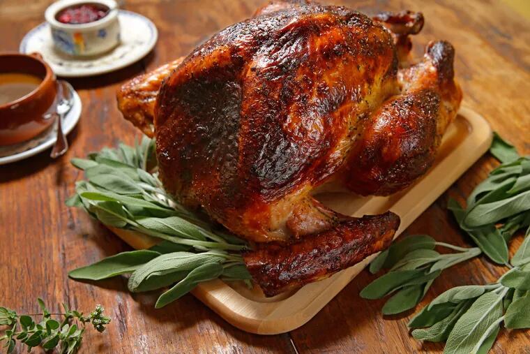 Joe Cicala's Apple Cider and Amaro-Brined Turkey
