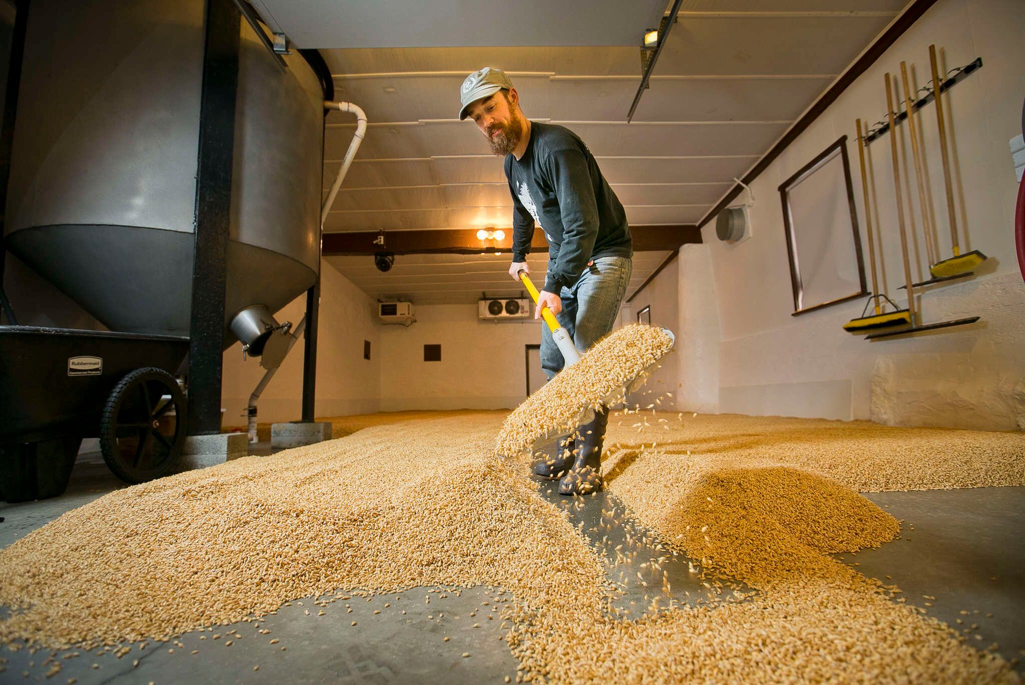 Floor Malting | Floor Roma