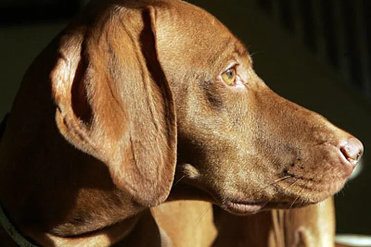 Unleashing the competition