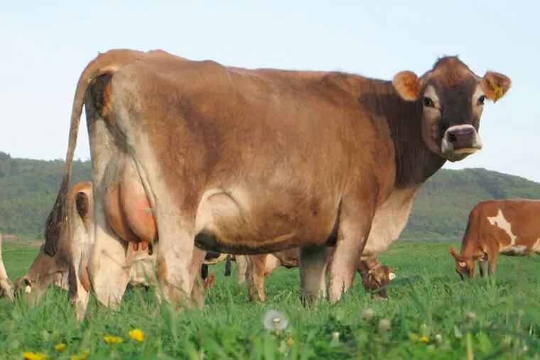 Raw milk: Treat or threat?