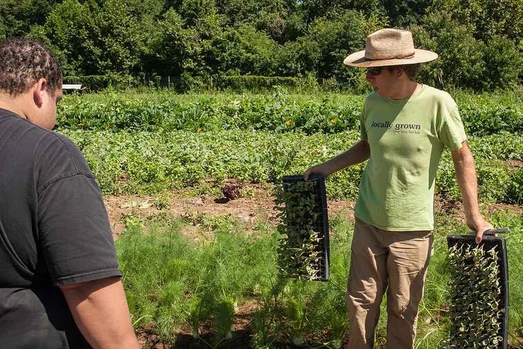 High-end Chester County farms growing food for poor