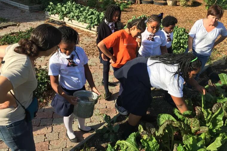 Notes from the kitchen