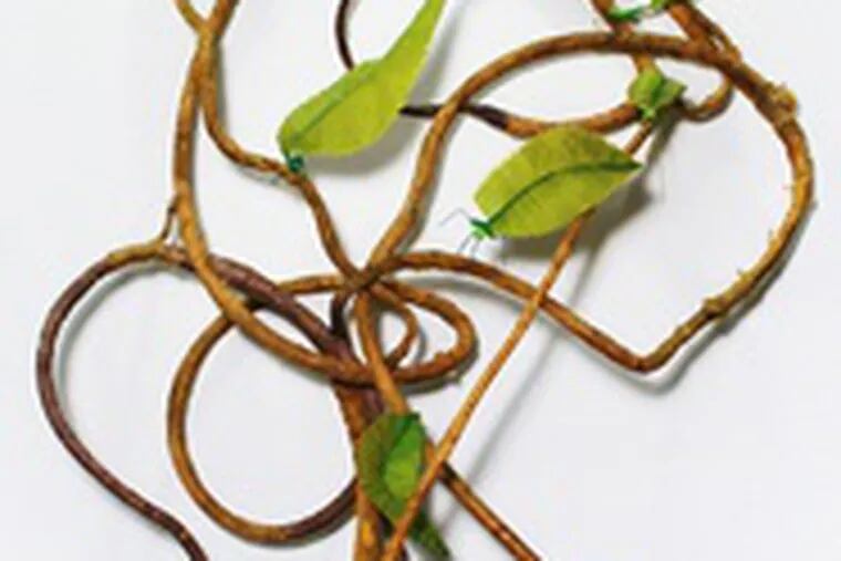 Tiny photographs like a flood of memories