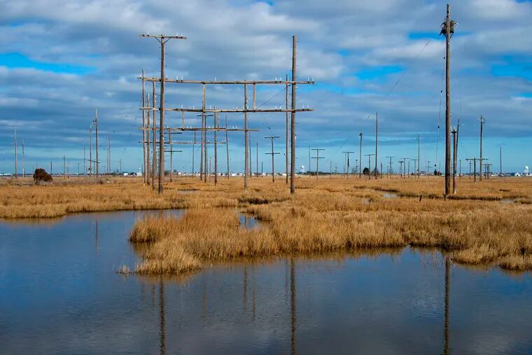 New Jersey's eerie 'telephone pole farm' will soon be gone