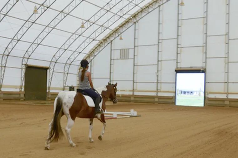Gloucester County's DREAM horse park: Underachieving, meeting goals, or ...