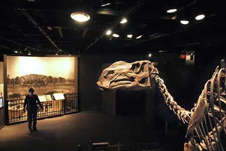 Haddonfield's hadrosaurus back in Phila.