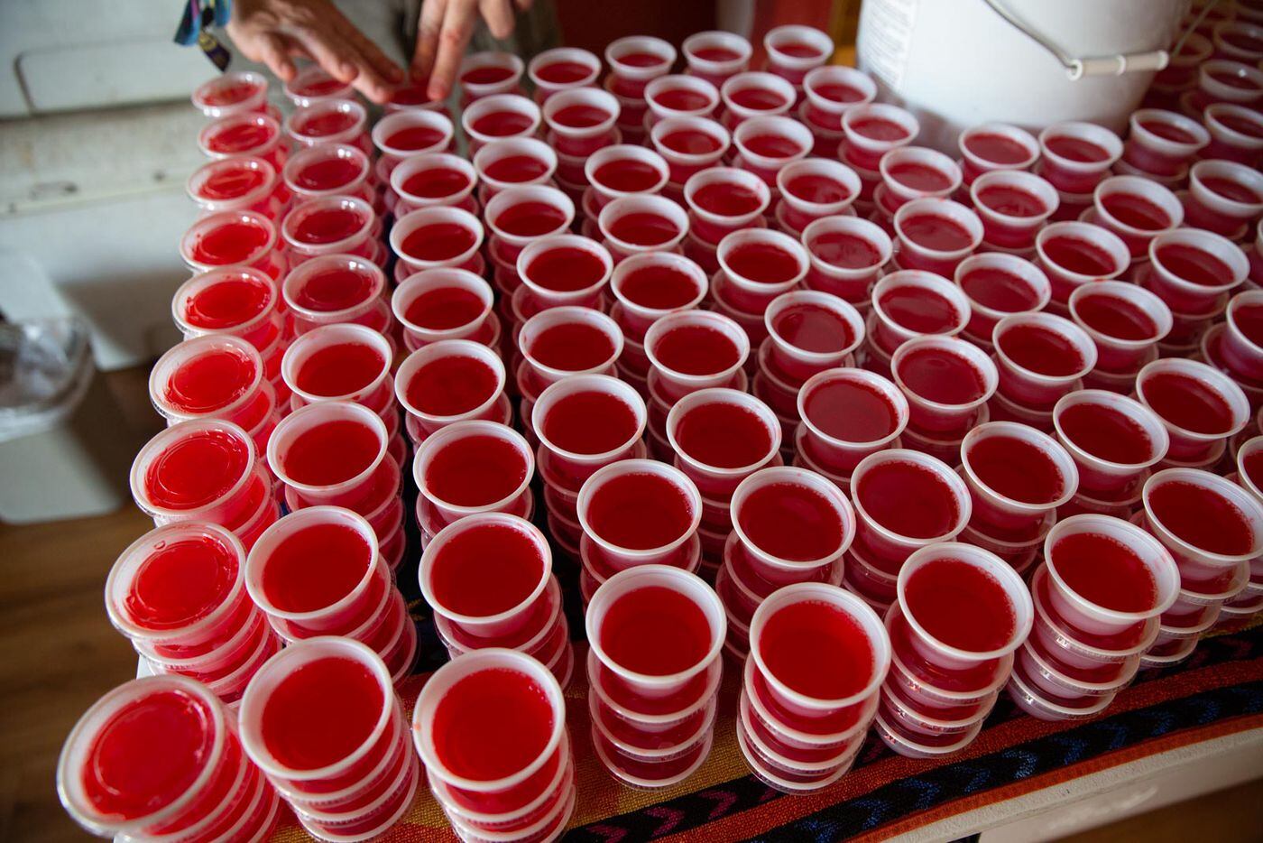 Jelloman is a music festival hustler and Kurt Vile’s brother | We the ...