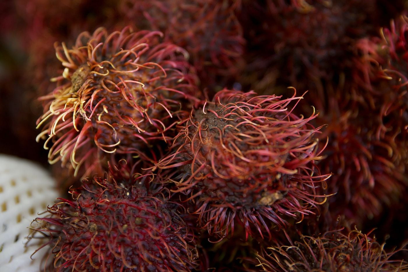 Rambutan and dragon fruit — how Produce Junction feeds Philly’s melting pot