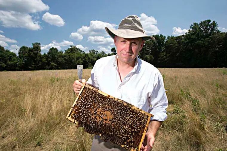 Beekeeping industry is on the rise in Pa., N.J.