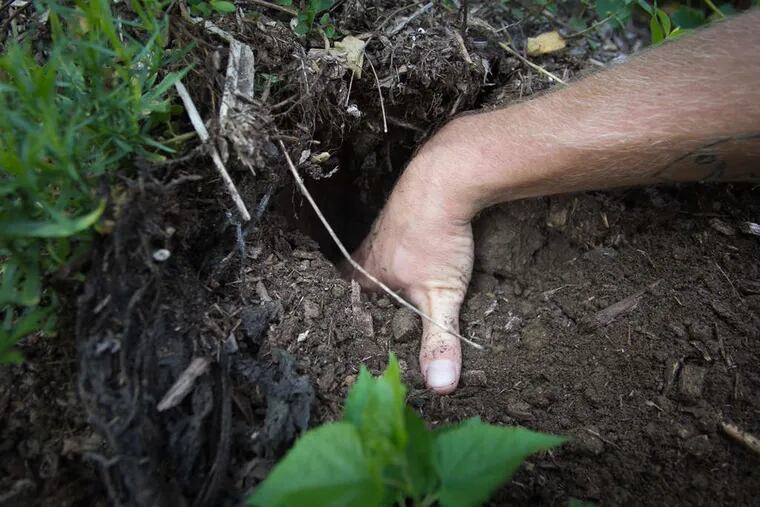 July 12-18: In the garden, it’s time to...