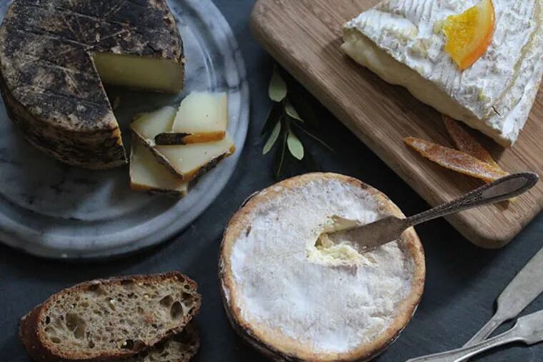 Winter cheeses, fiery and woodsy and spirited