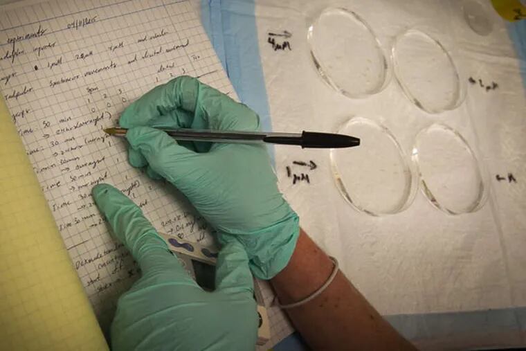 Penn researchers looking for a knockout anesthesia